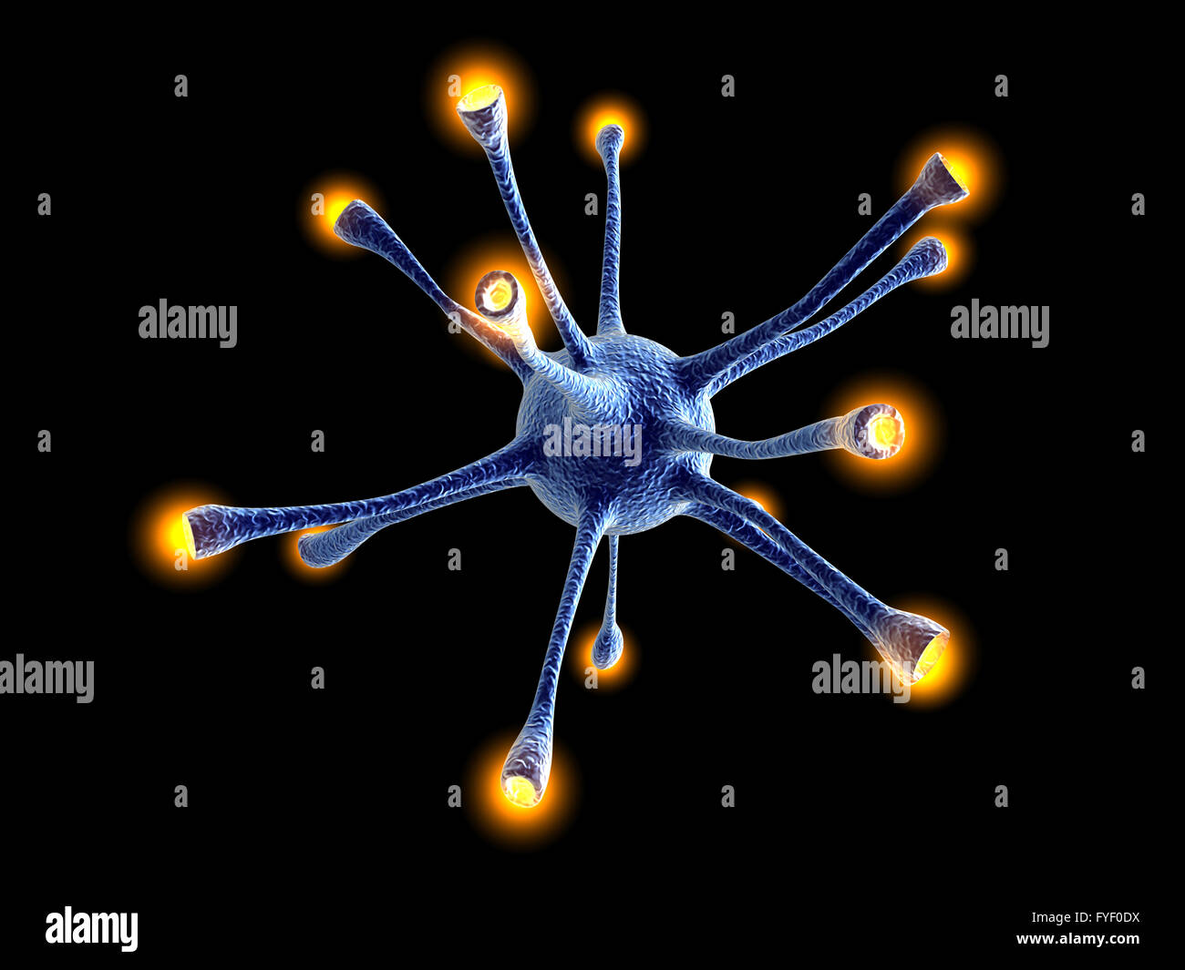 Neuro logical hi-res stock photography and images - Alamy