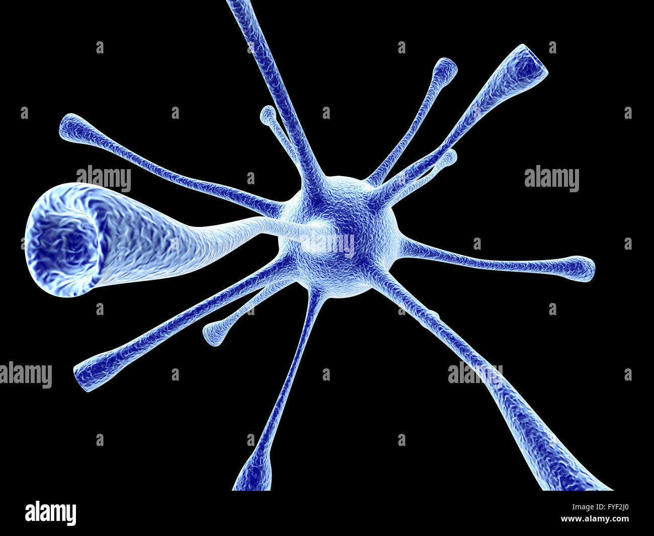 Neuro logical hi-res stock photography and images - Alamy