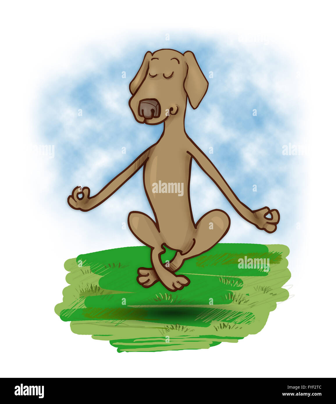 Dog levitating hi-res stock photography and images - Alamy