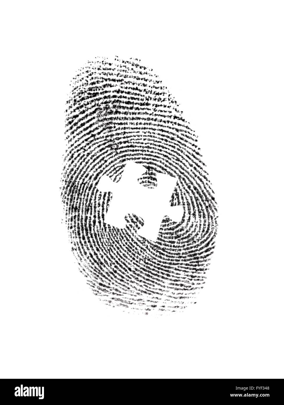 A finger print isolated against a white background Stock Photo - Alamy
