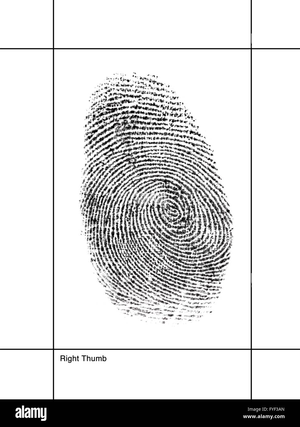 A finger print isolated against a white background Stock Photo - Alamy