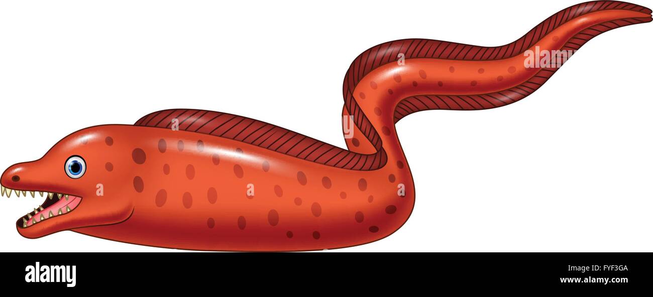 Illustration of Moral eel Stock Vector Image & Art - Alamy