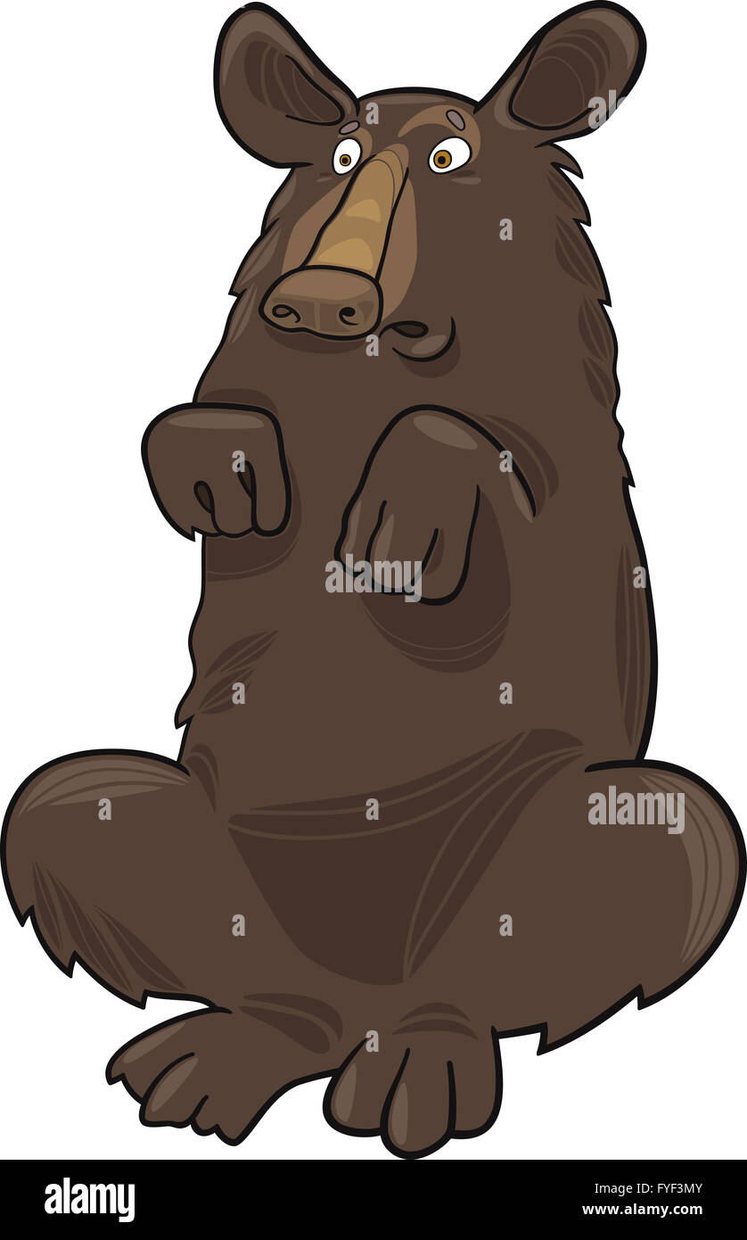 Baribal American black bear Stock Photo - Alamy