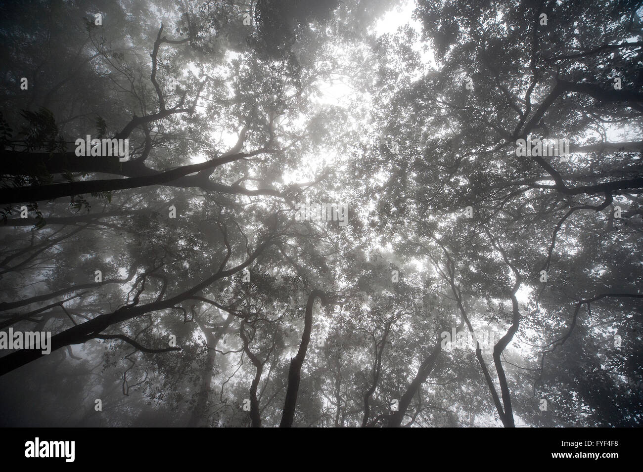 Matheran hill station hi-res stock photography and images - Alamy