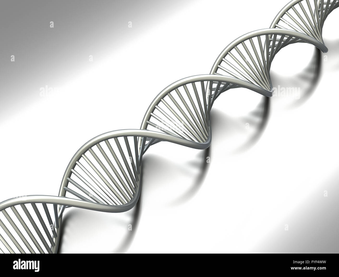 Bacteria cell cg hi-res stock photography and images - Alamy