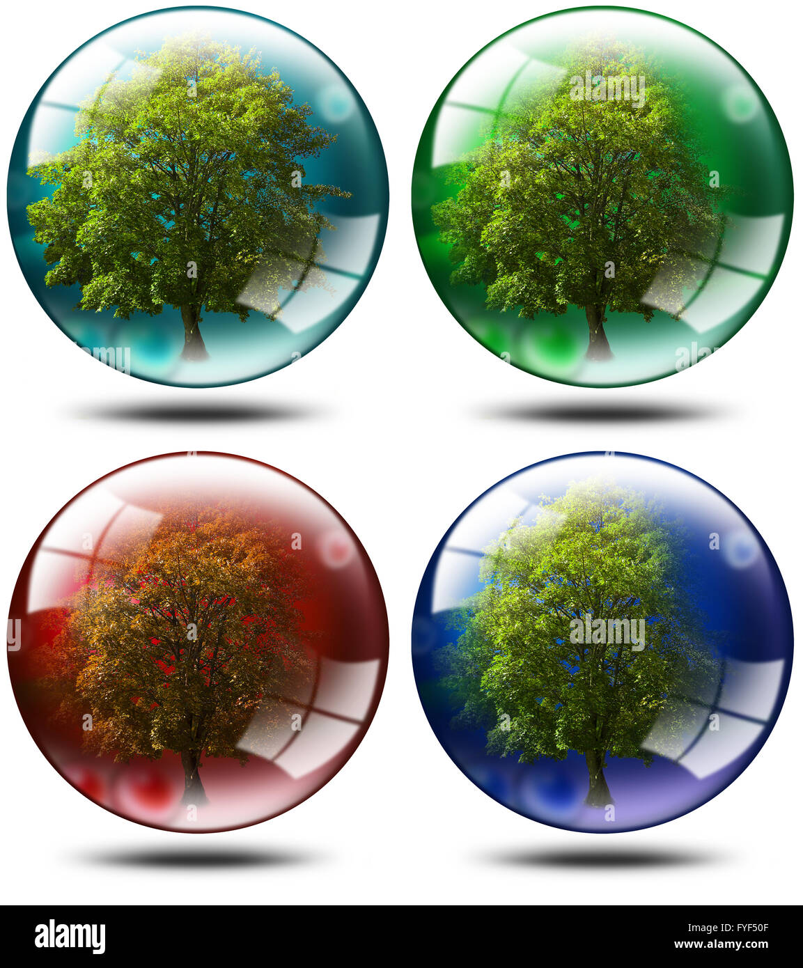 Much leaves in the trees Cut Out Stock Images & Pictures - Alamy