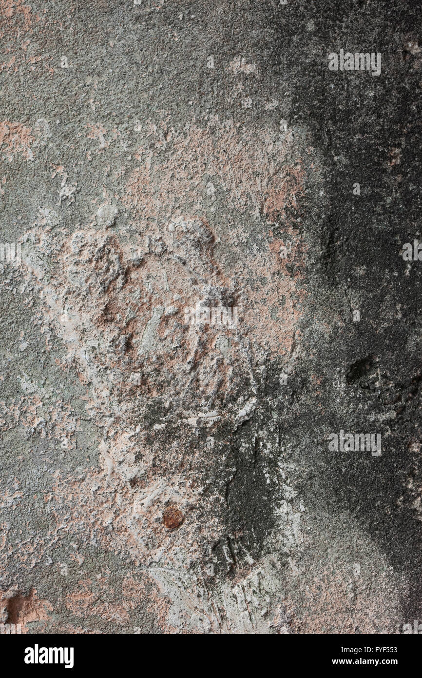 Old chipped damaged plaster hi-res stock photography and images - Alamy