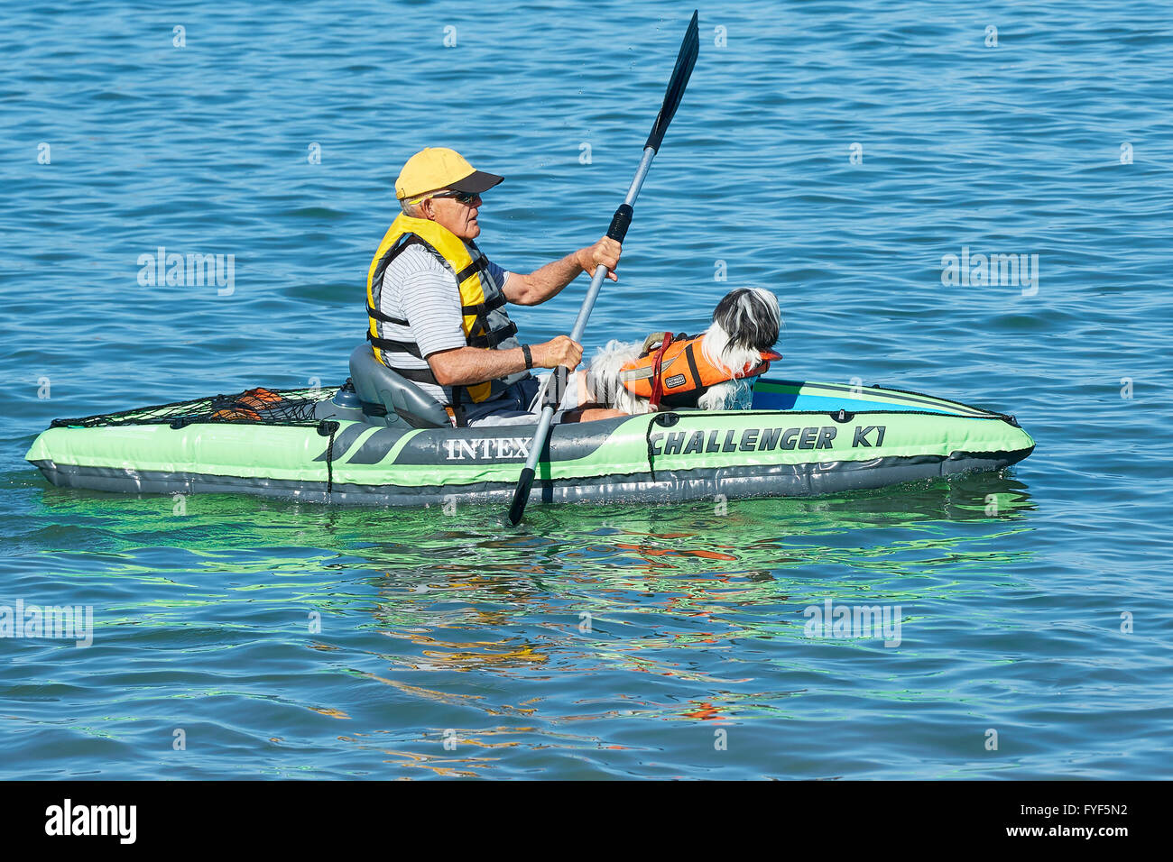 Man in inflatable with dog hi-res stock photography and images - Alamy