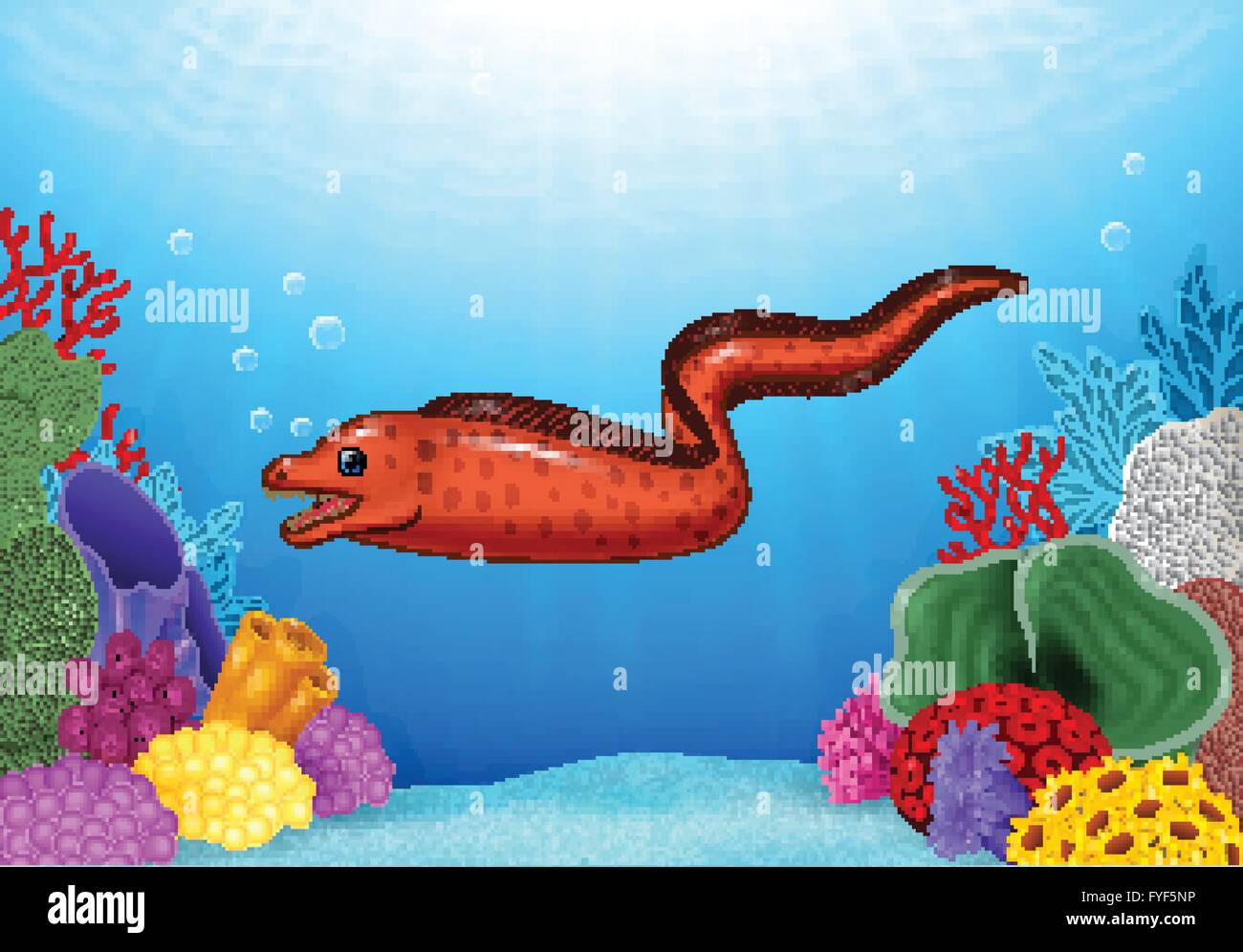 Cute Moray eel with Coral Reef Underwater in Ocean Stock Vector Image ...