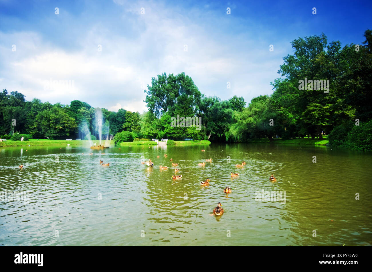 Charming summer park with pond Stock Photo - Alamy