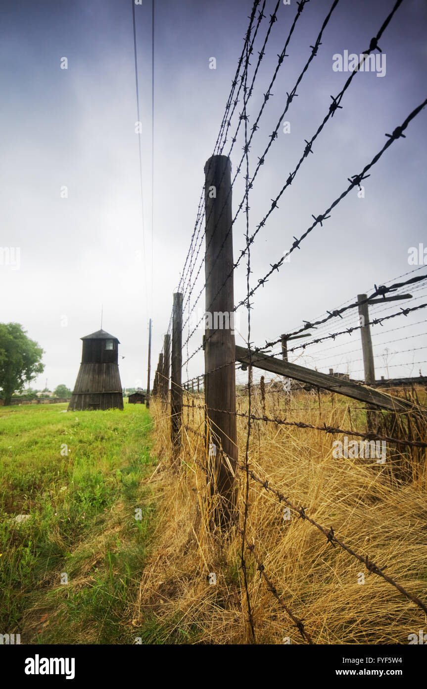 Barbed wire fence. Old prison Stock Photo - Alamy
