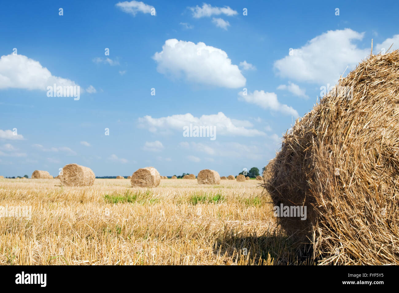 Haystacks hi-res stock photography and images - Alamy