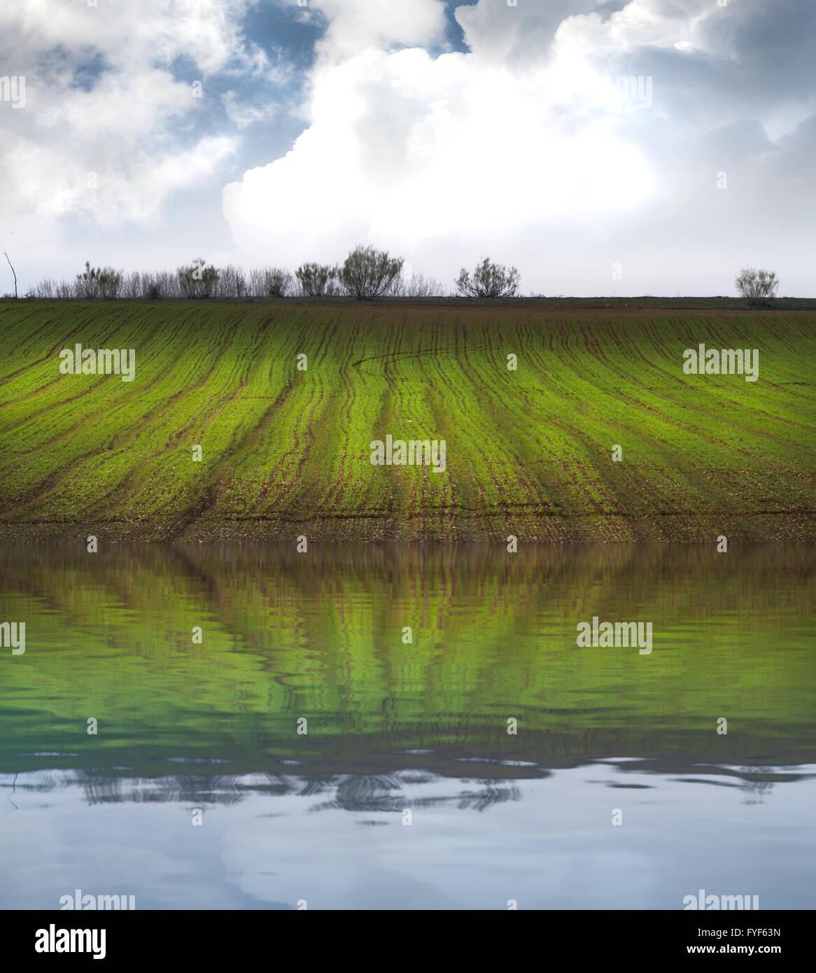 Agriculture field, green nature with water reflection effect Stock ...