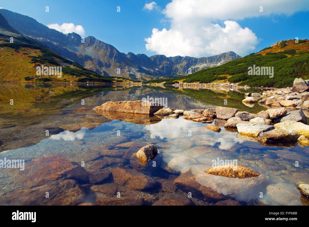 Tatra mountains trees hi-res stock photography and images - Alamy