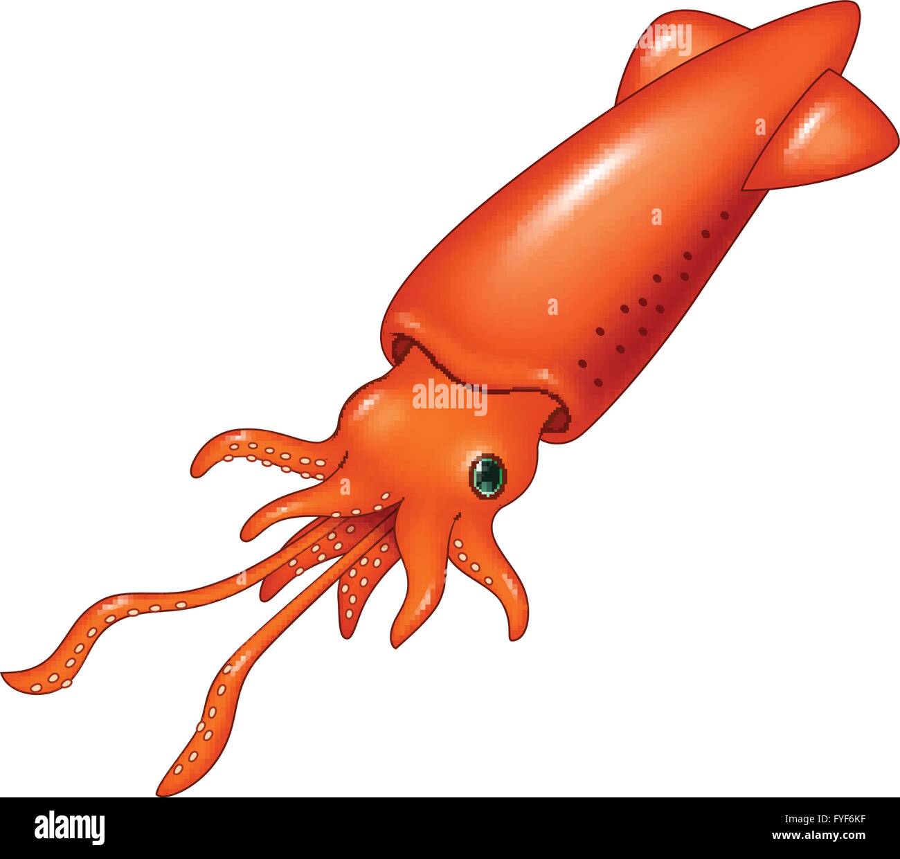 Cartoon squid hi-res stock photography and images - Alamy