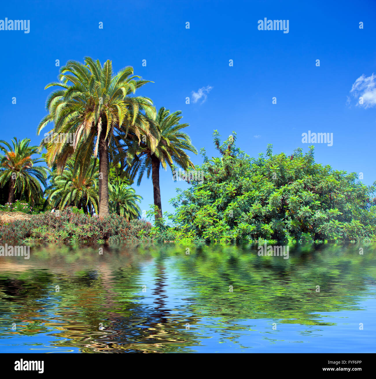 Jungle water hi-res stock photography and images - Alamy