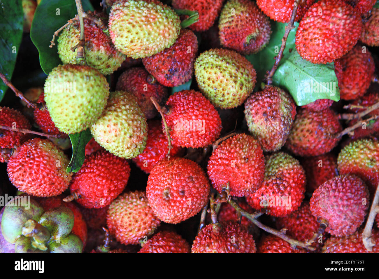 chinese fruit litchi Stock Photo - Alamy