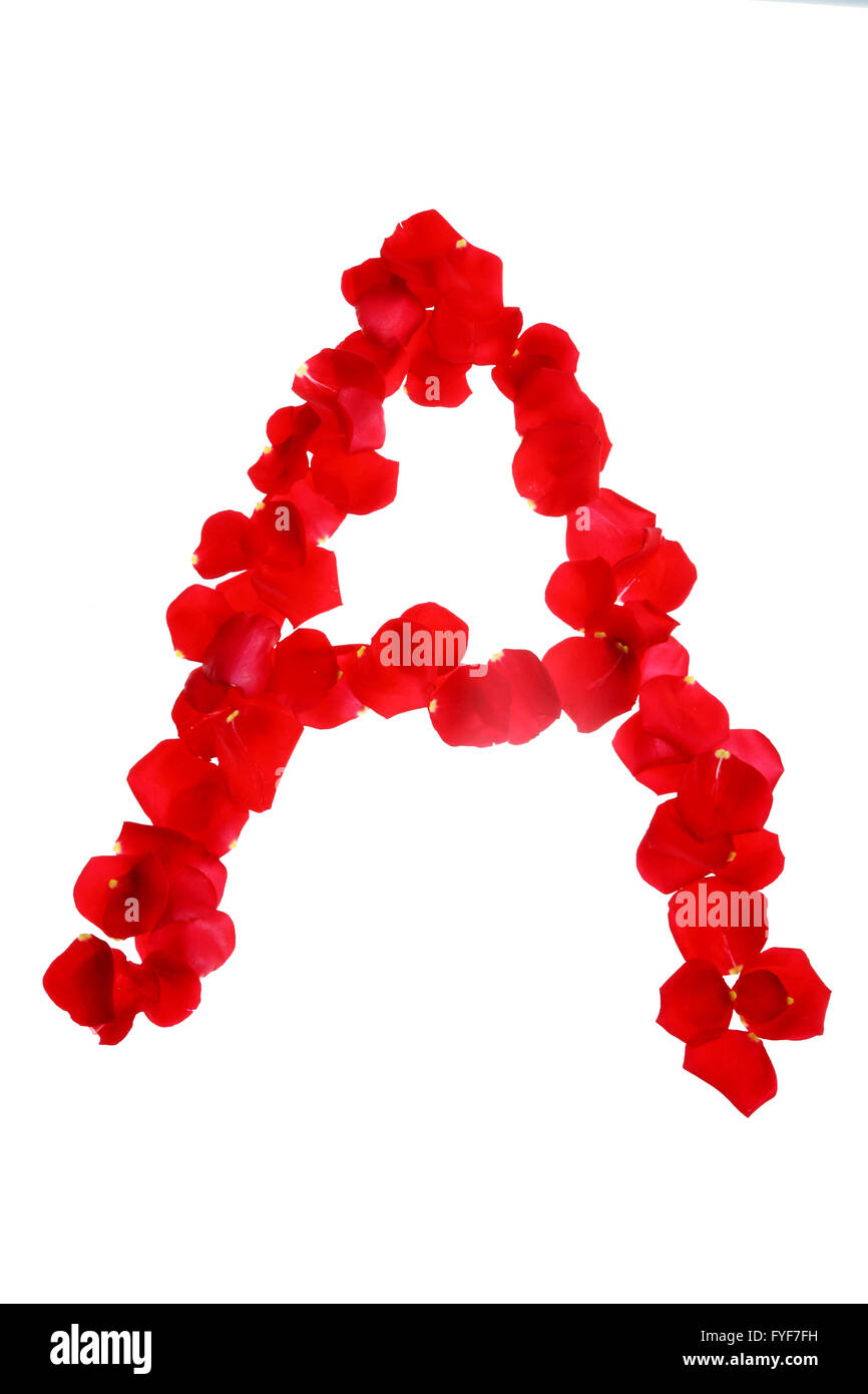 rose petals forming letter Stock Photo - Alamy
