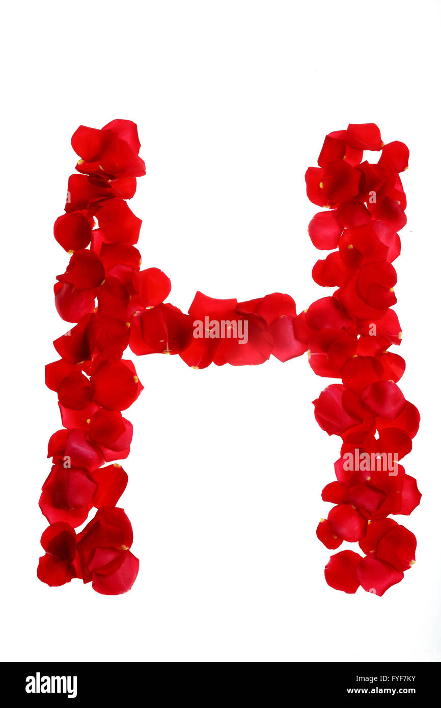 rose petals forming letter Stock Photo - Alamy