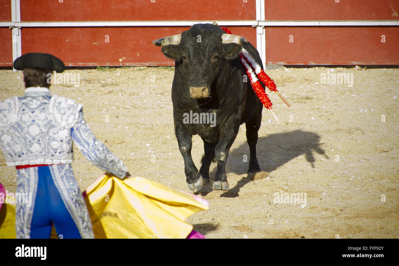 Matador and bull in bullfight. Madrid, Spain Stock Photo - Alamy