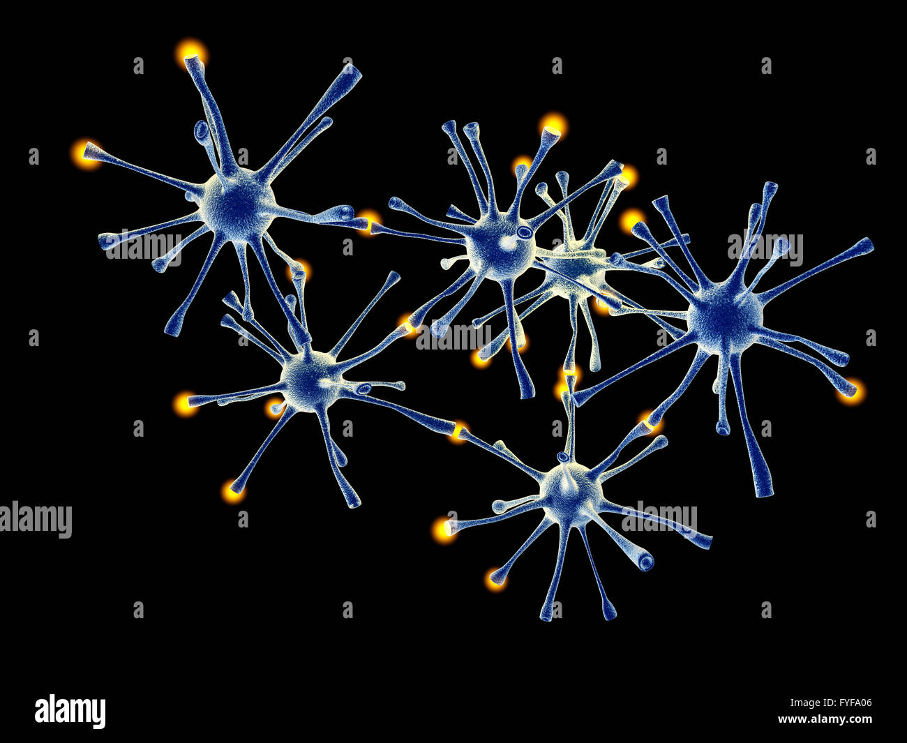 Neuron transmitter hi-res stock photography and images - Alamy