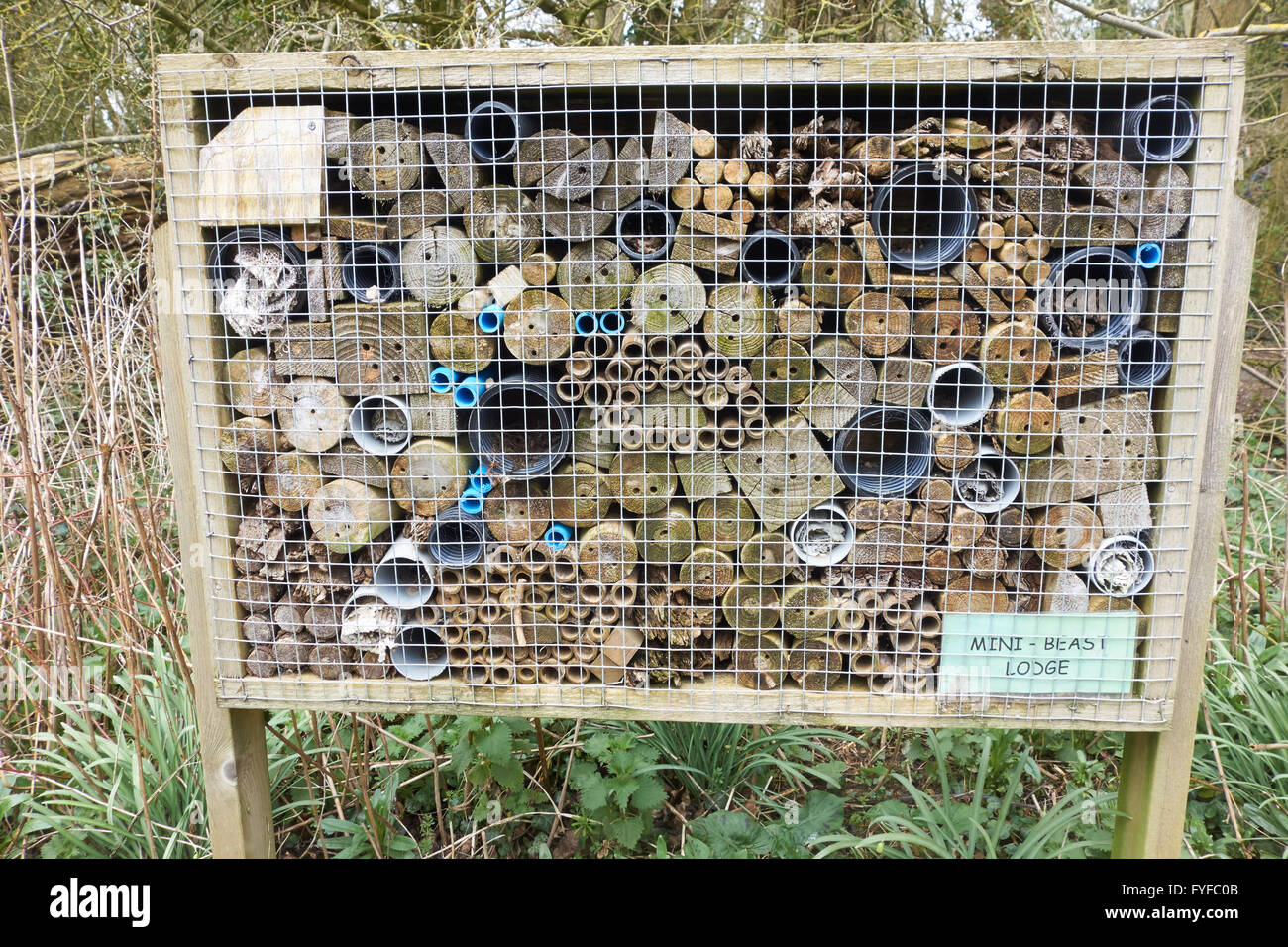 Insect hotel. UK Stock Photo - Alamy