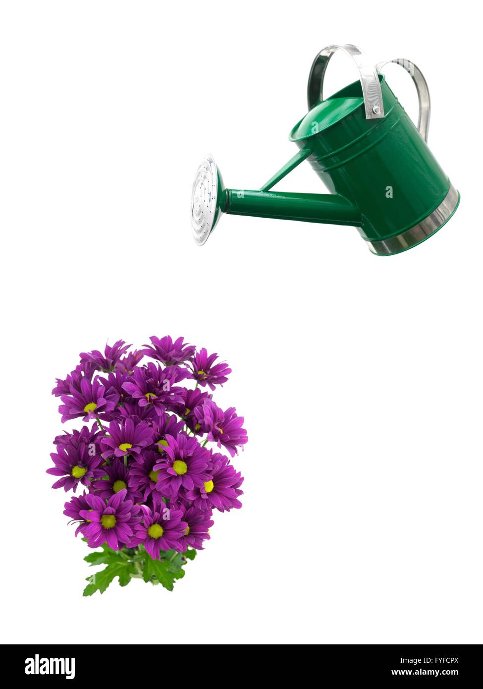 A watering can isolated against a white background Stock Photo - Alamy