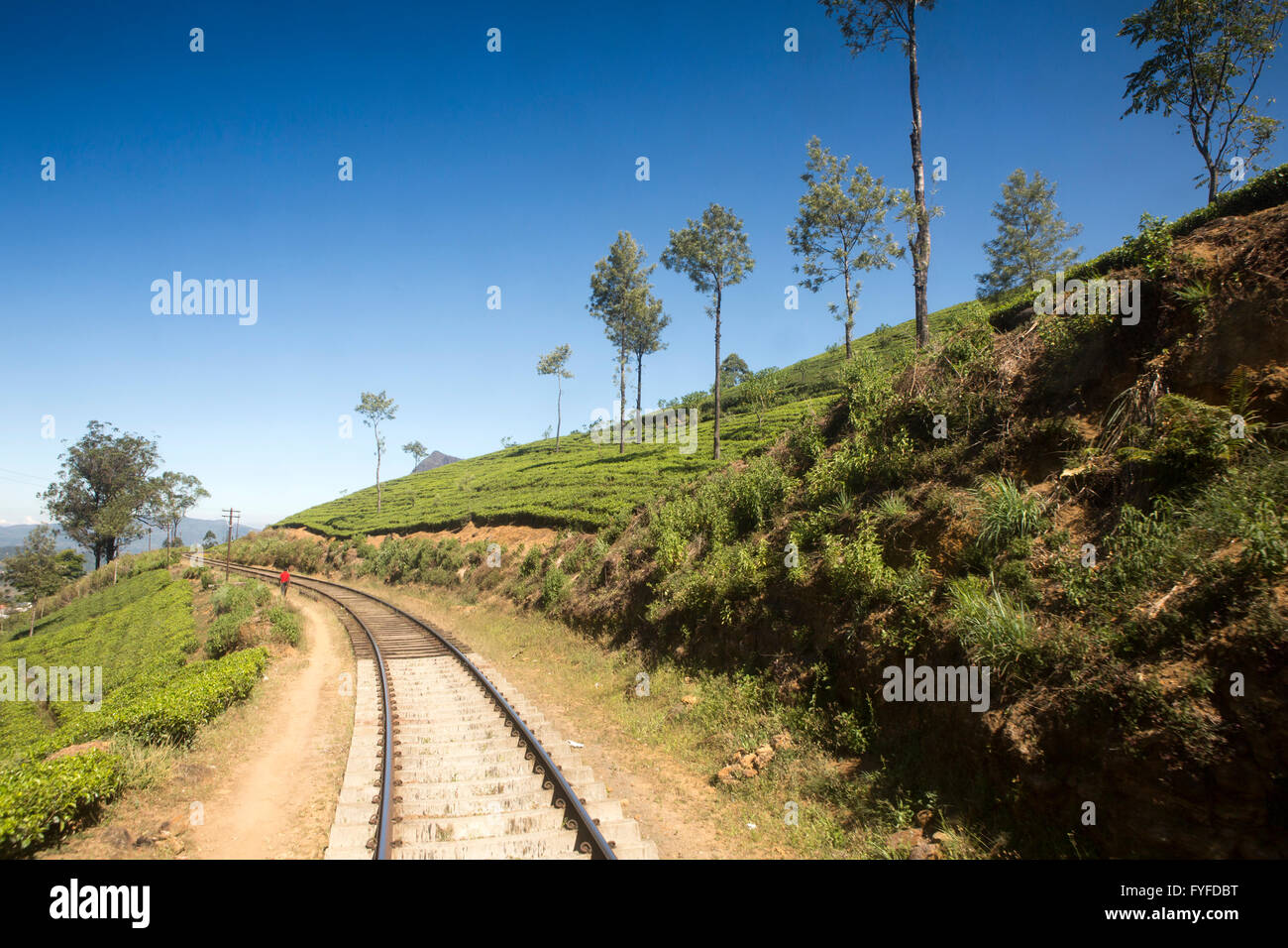 Sri Lanka, Nuwara Eliya, Nanu Oya, man walkign along highland railway ...