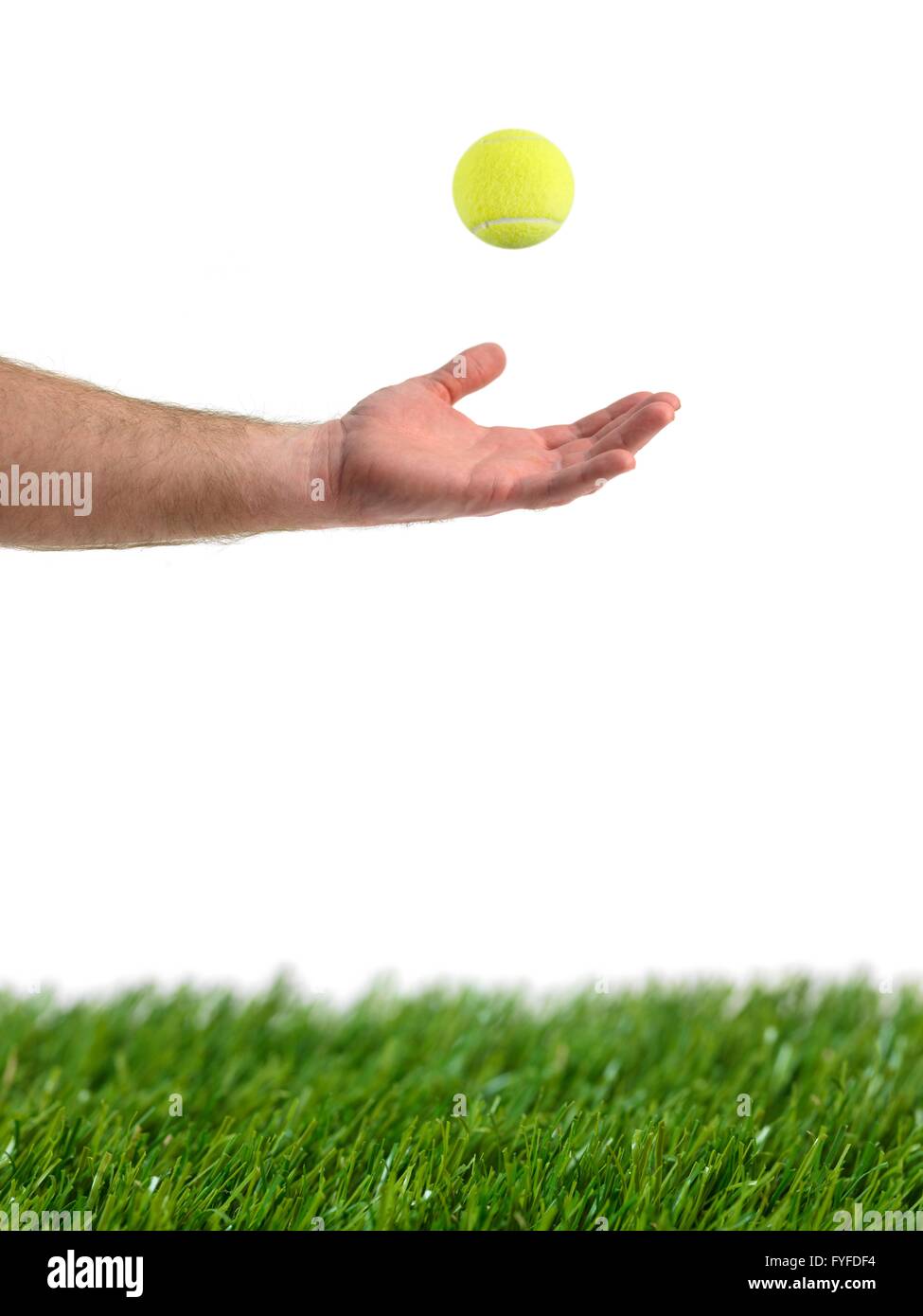 Sporting tennis balls on artificial green grass Stock Photo - Alamy
