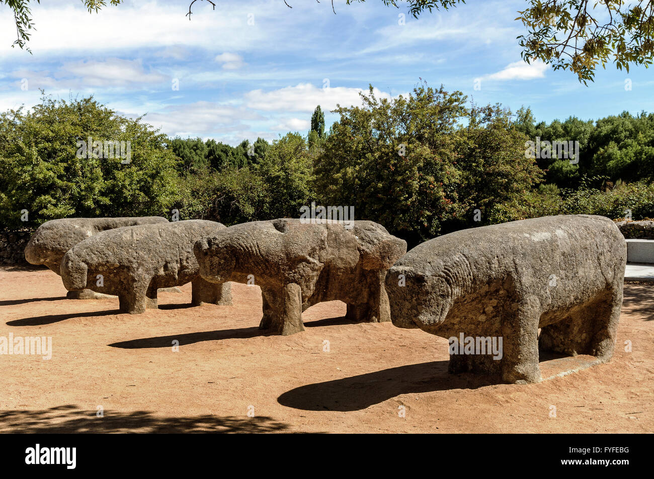 Celtiberian culture hi-res stock photography and images - Alamy