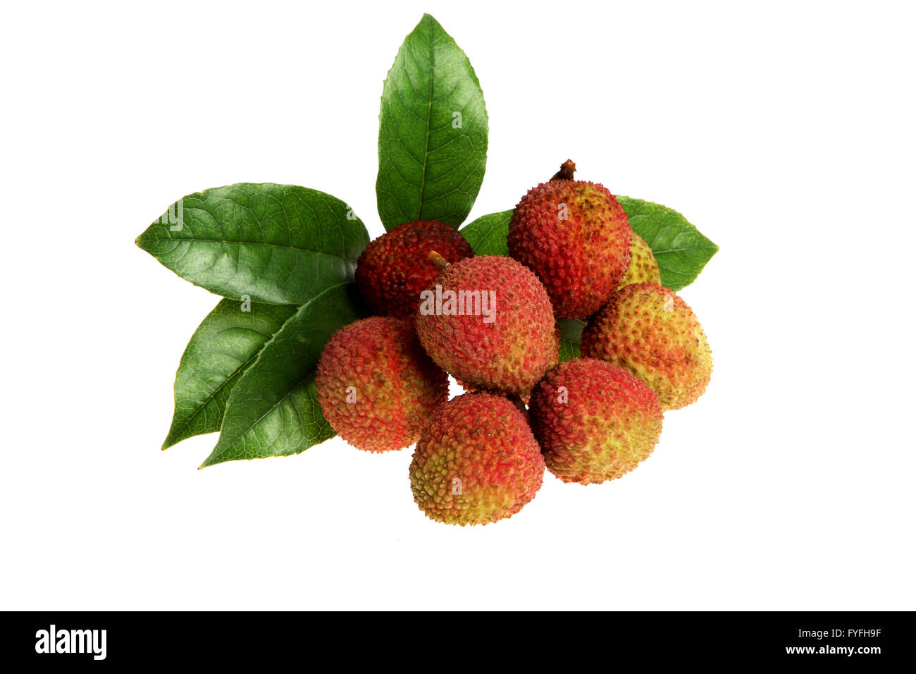 Lychee fruit shell Cut Out Stock Images & Pictures - Alamy