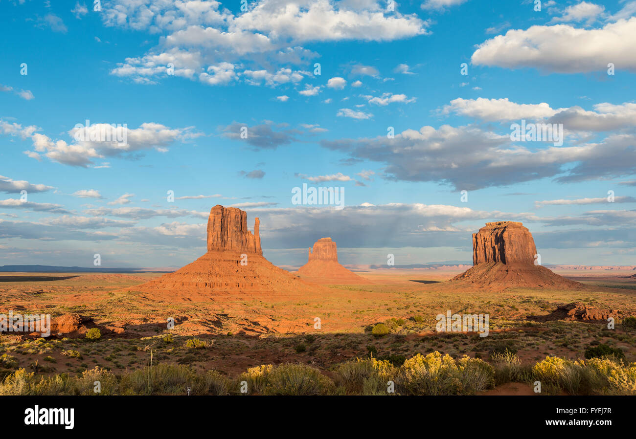 Mesas, West Mitten Butte, East Mitten Butte, Merrick Butte, Scenic ...