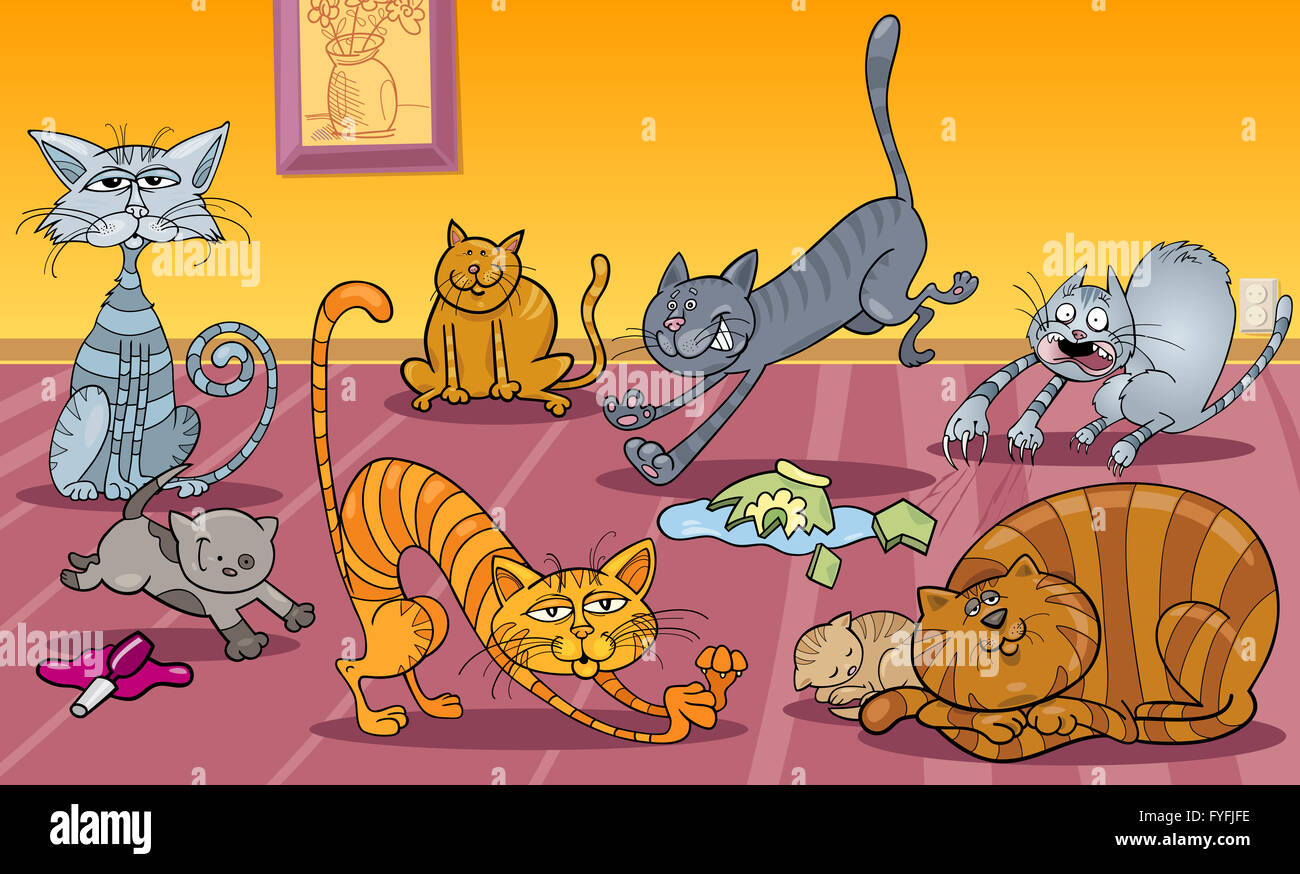 many cats at home Stock Photo - Alamy