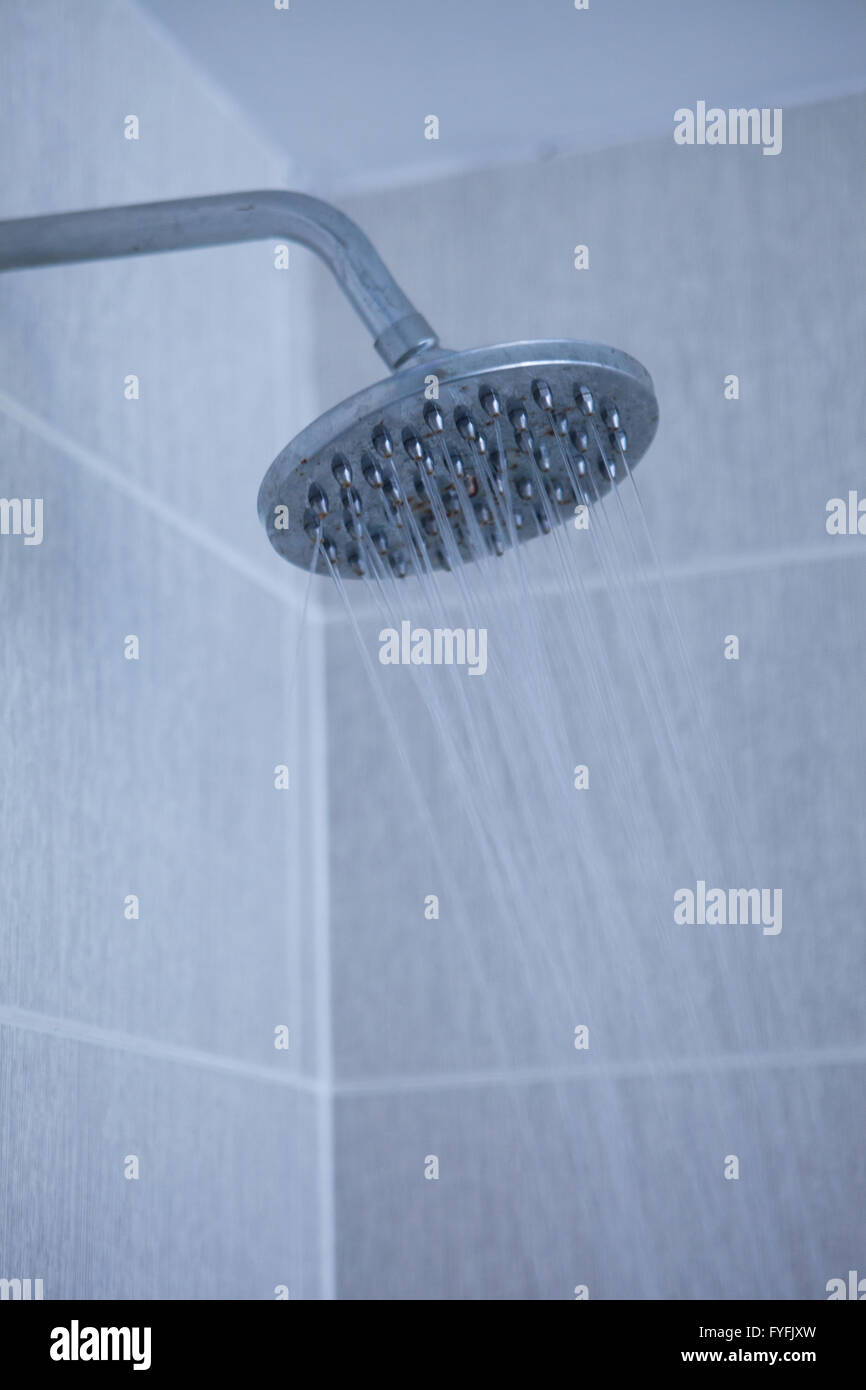 Shower head with water stream Stock Photo - Alamy