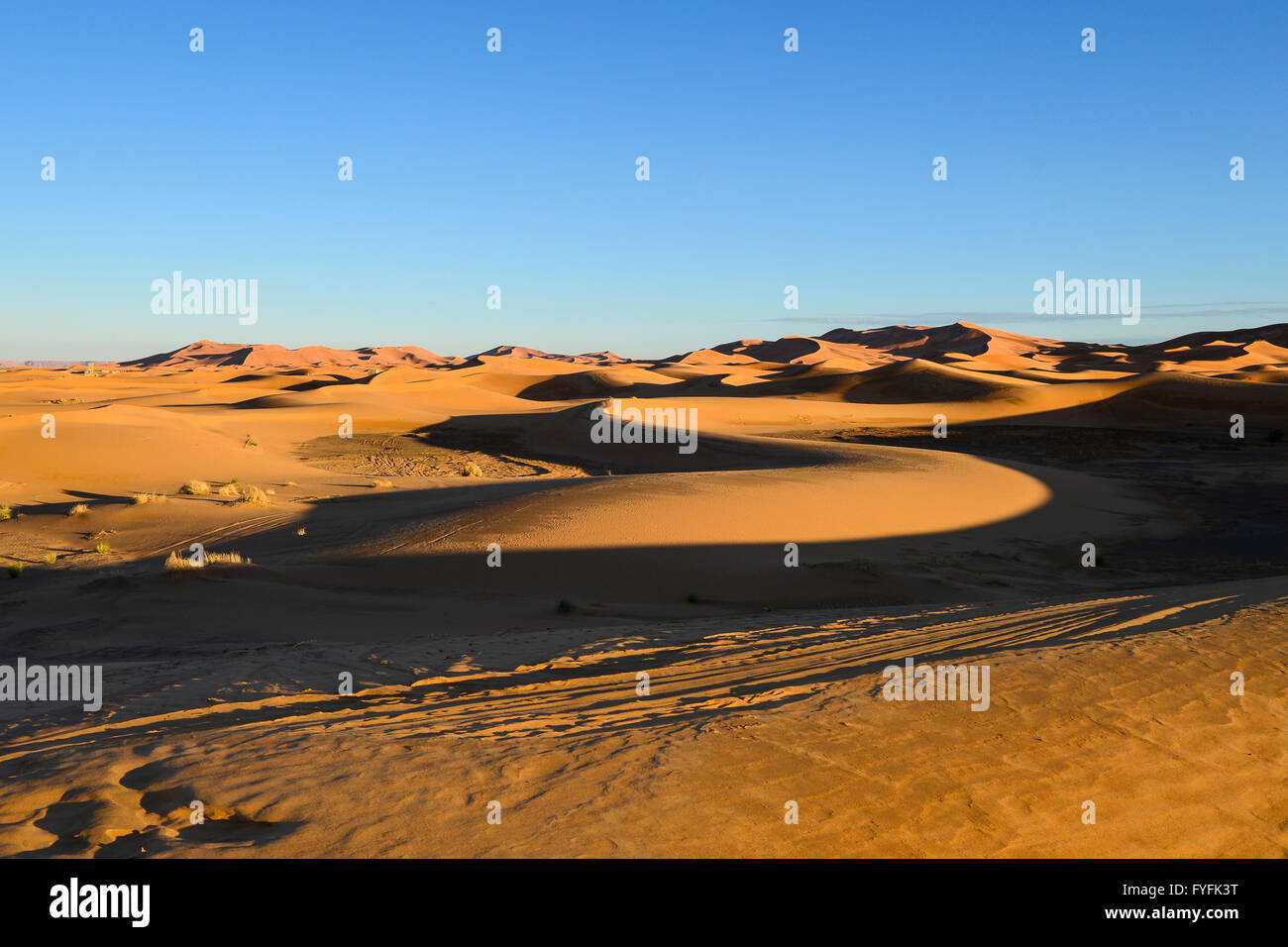 Dunes of Erg Chebbi, desert landscape, Merzouga, Meknès-Tafilalet ...