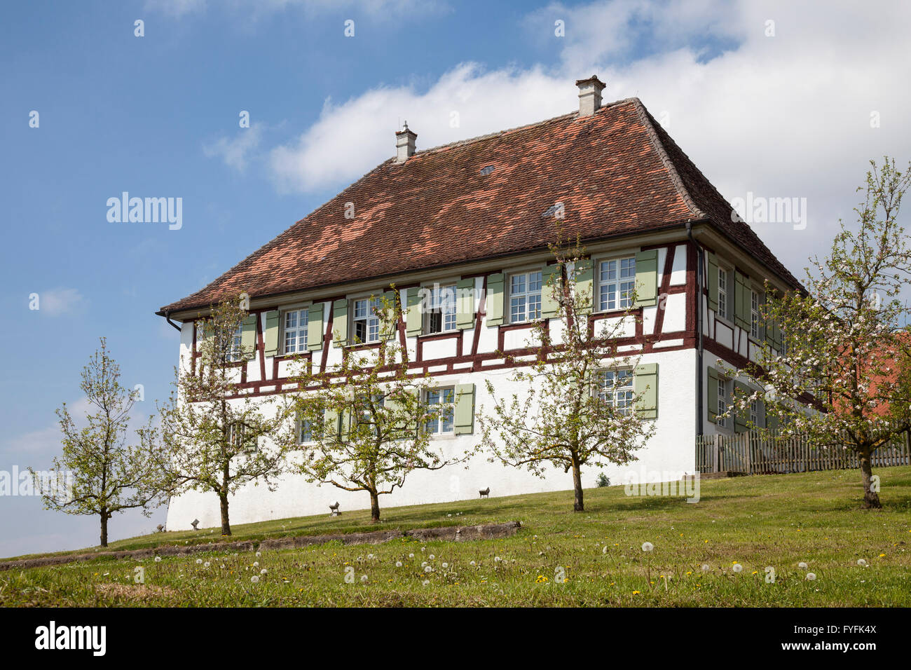 Half trees hi-res stock photography and images - Alamy