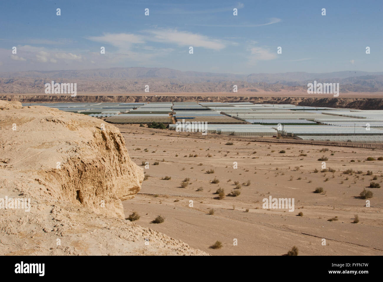 Israel Agriculture Stock Photos & Israel Agriculture Stock Images - Alamy