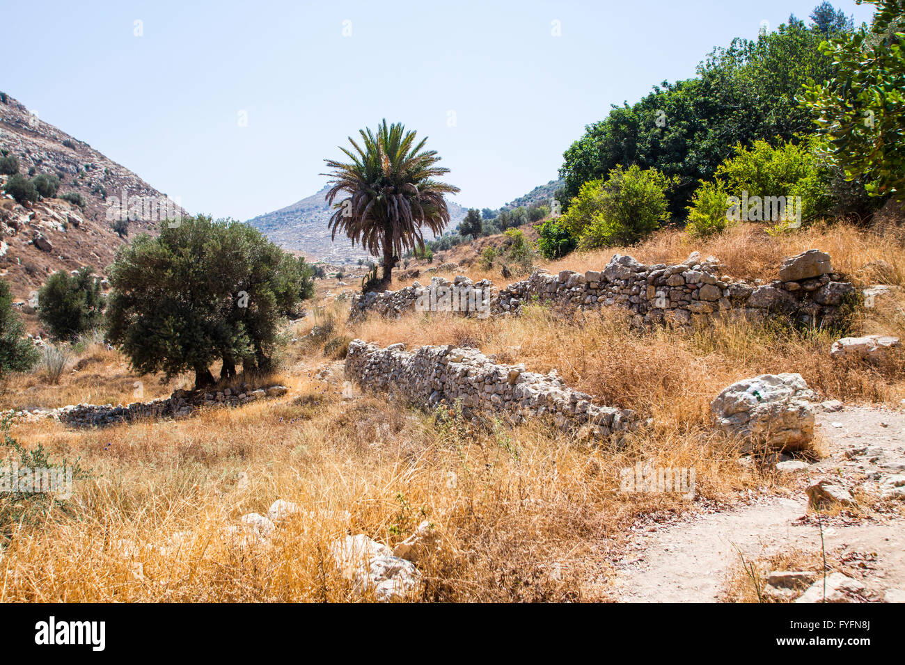 Terrace farming hi-res stock photography and images - Alamy