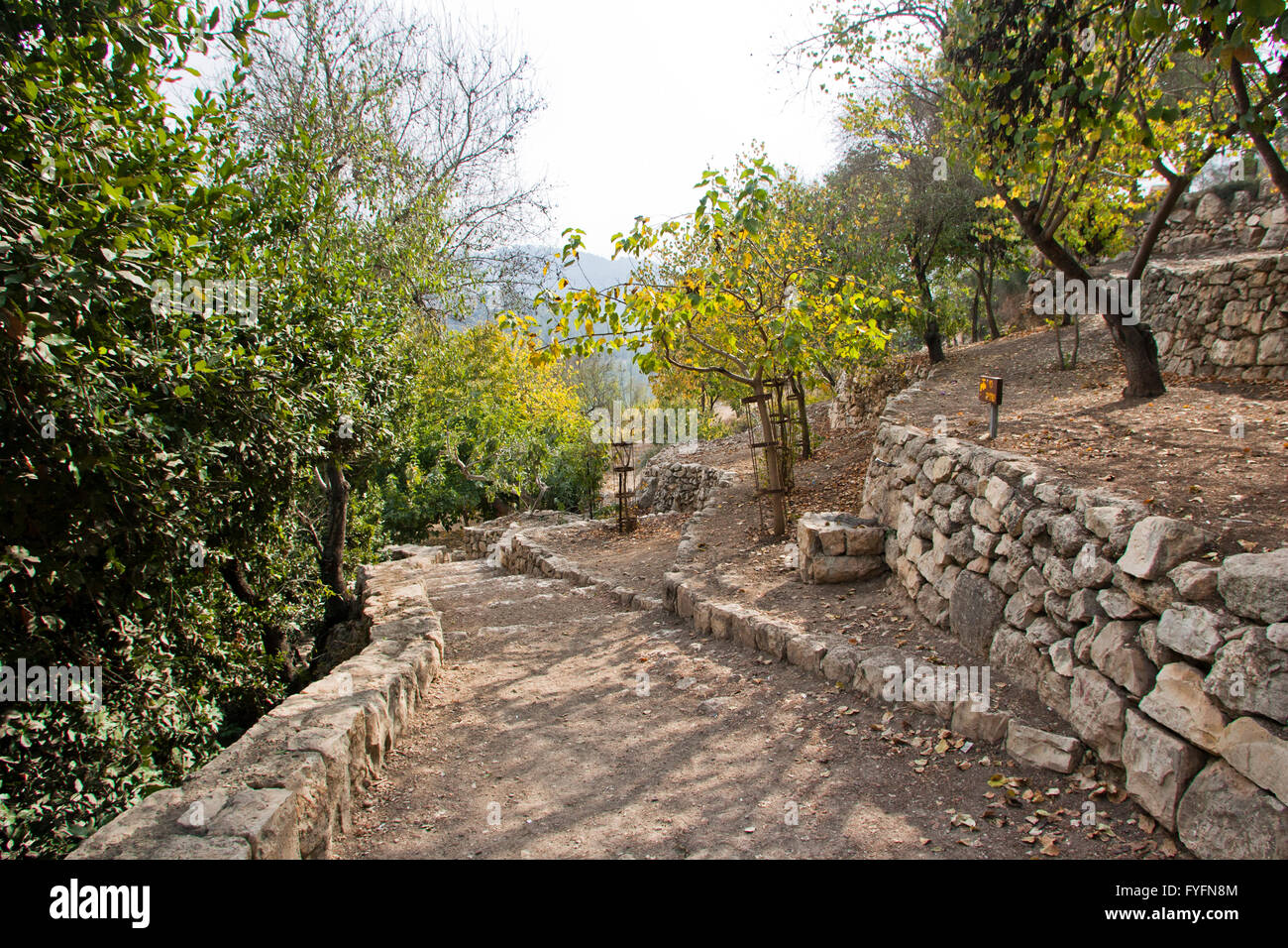 the use of a terrace is an ancient Agricultural technique to flatten a ...