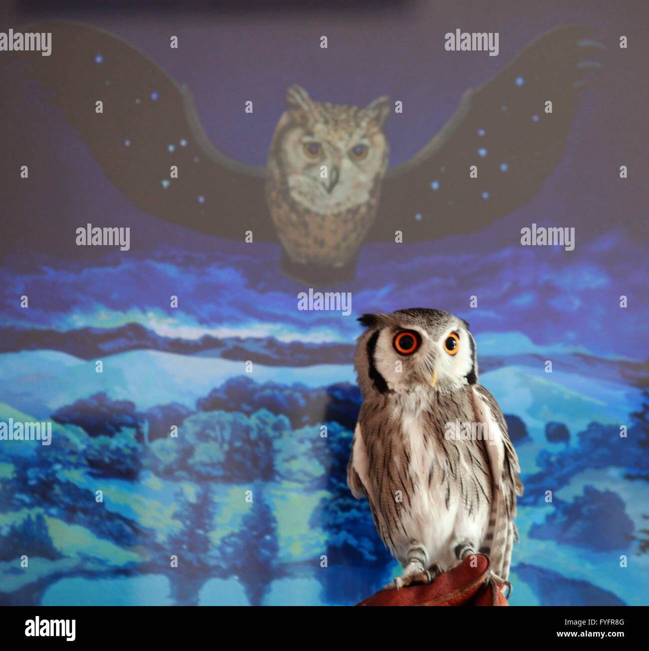 Zoo visit hi-res stock photography and images - Alamy