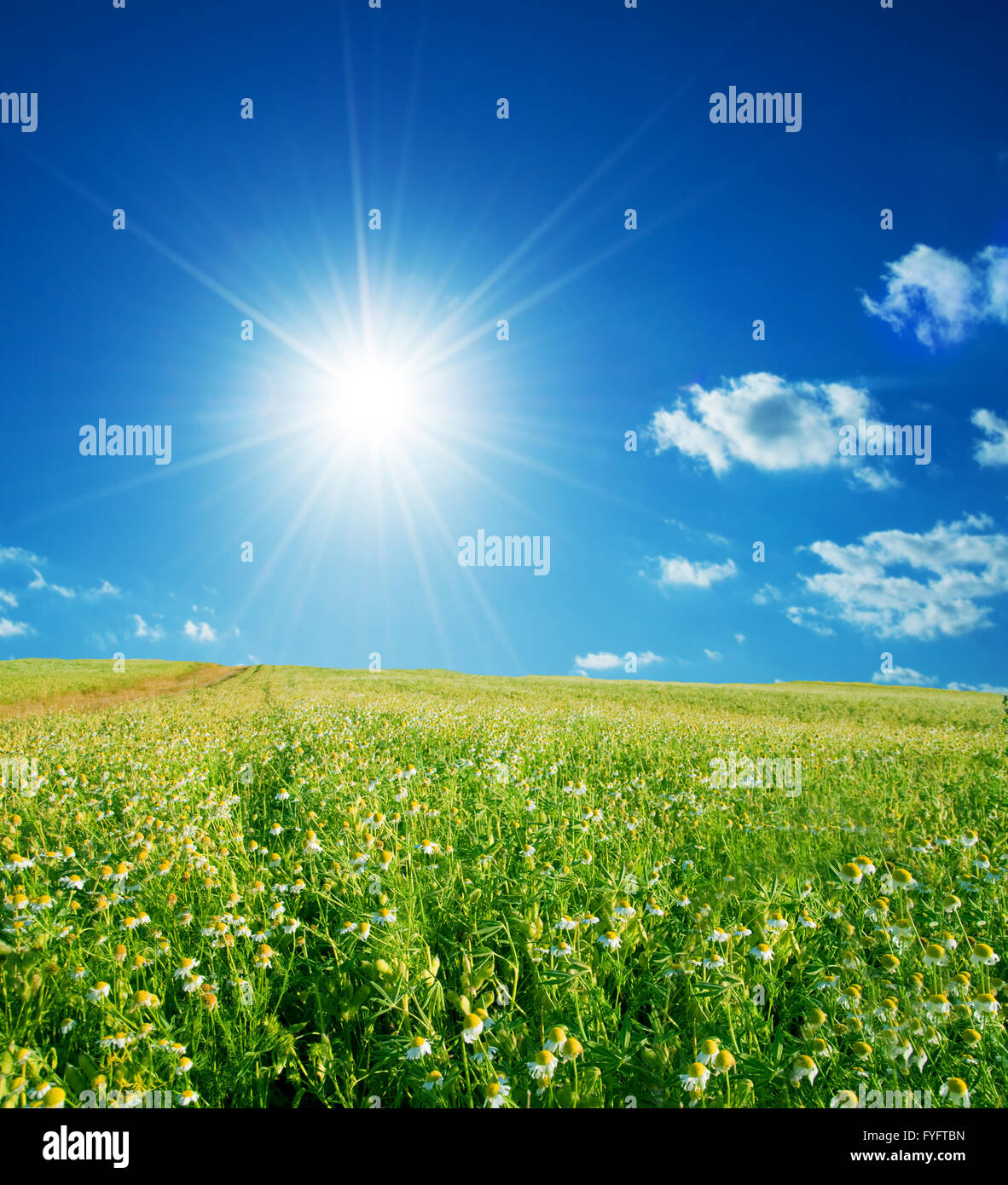 Sunlight over valley of flowers hi-res stock photography and images - Alamy