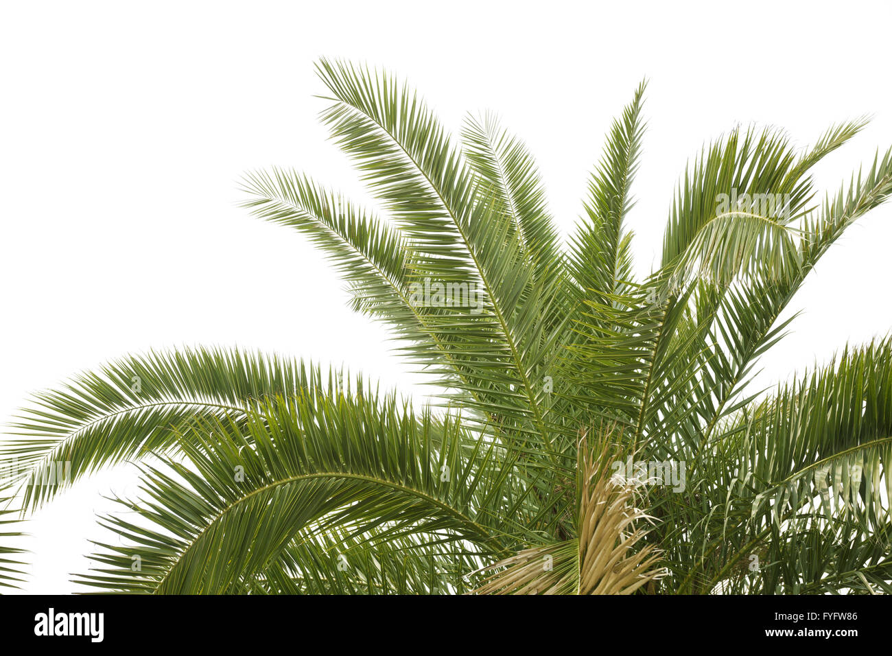 12059 hi-res stock photography and images - Alamy