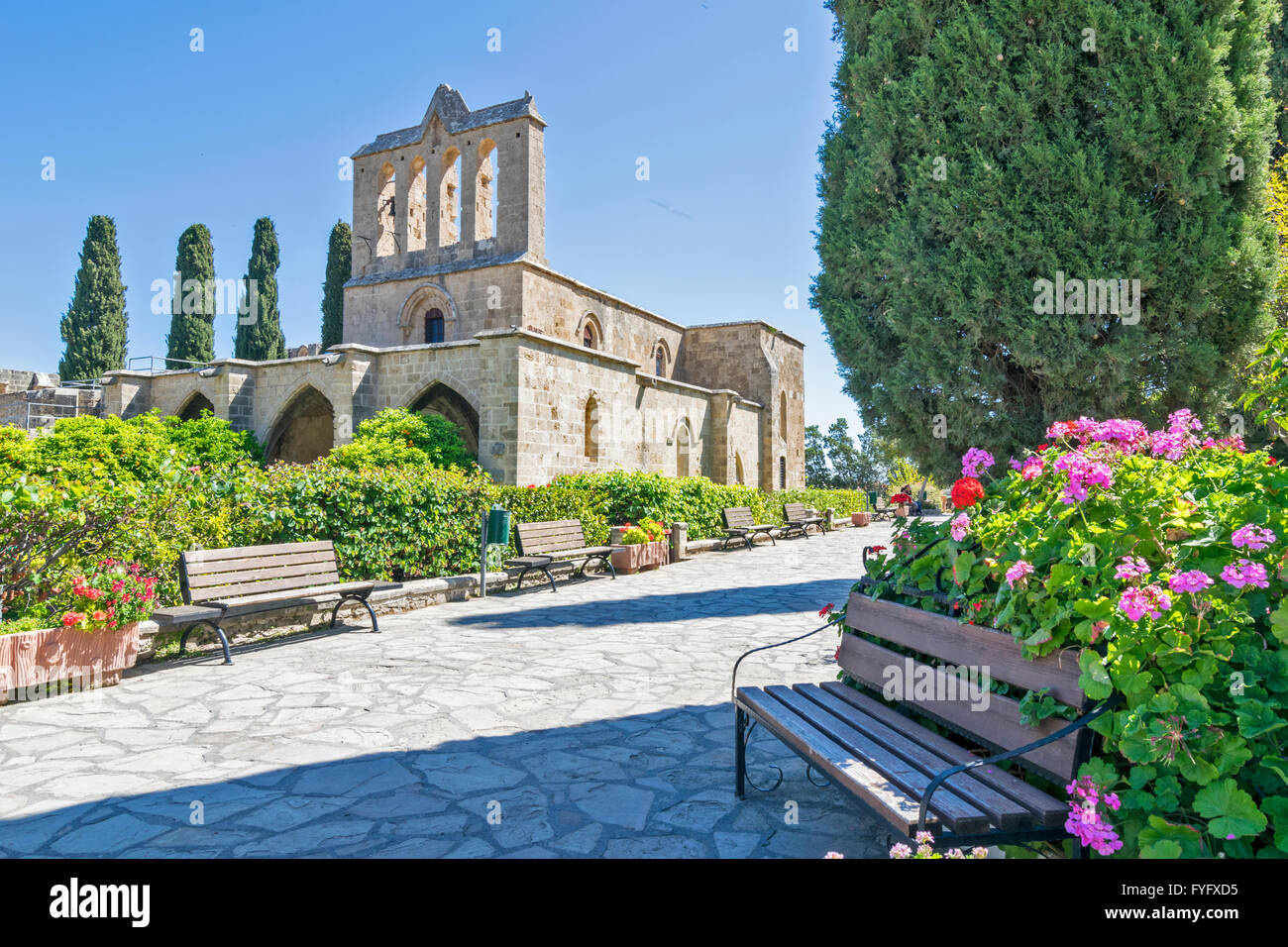Spring flowers in cyprus hi-res stock photography and images - Alamy