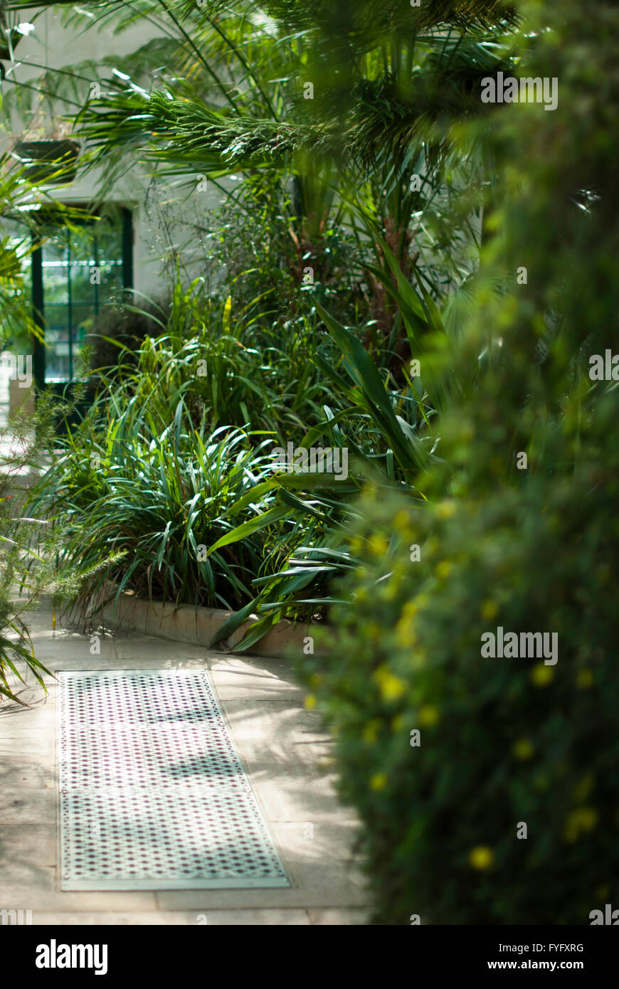 Editorial image of Paxton's Pavilion - Glasshouse in the grounds of the ...