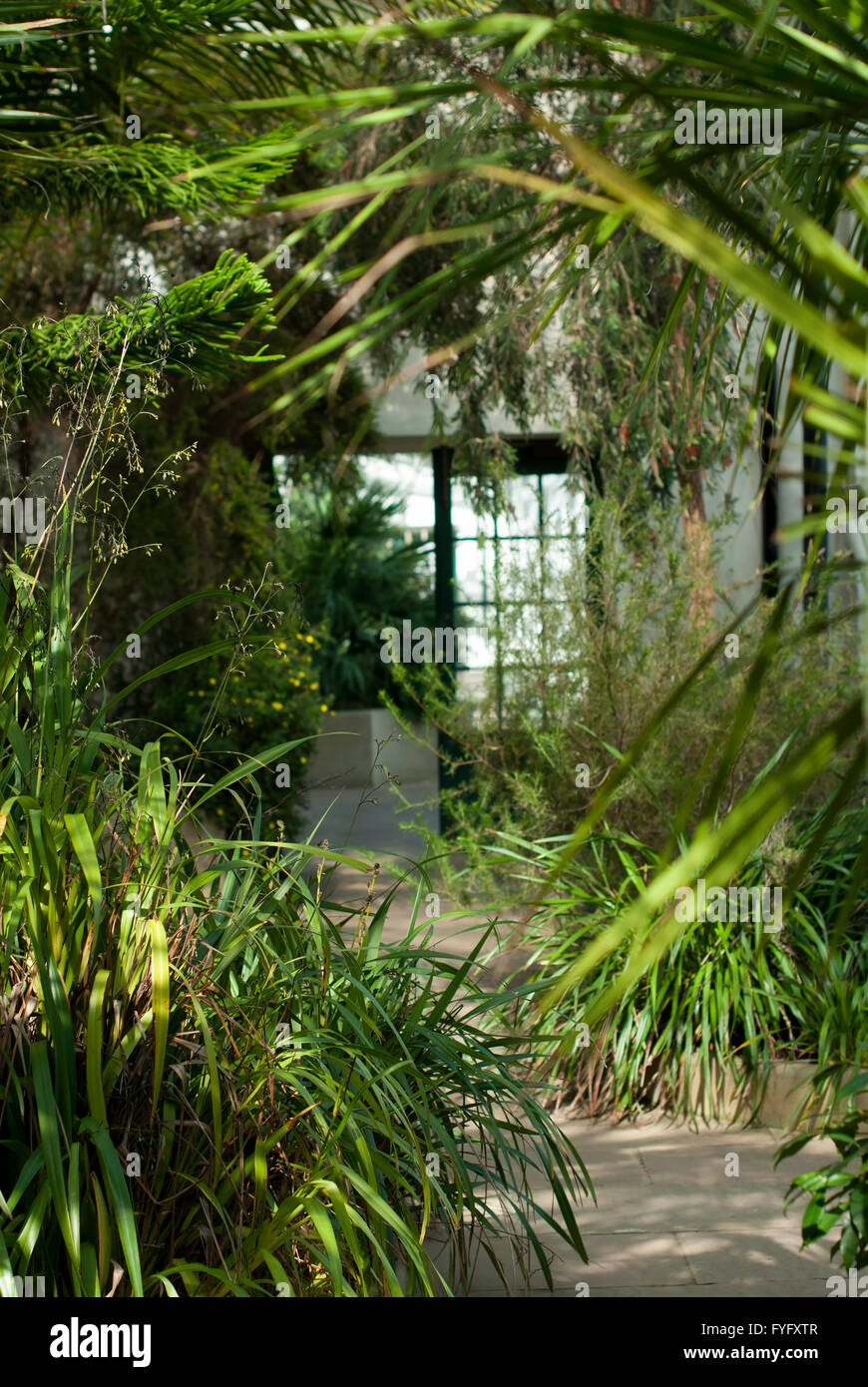 Editorial image of Paxton's Pavilion - Glasshouse in the grounds of the ...