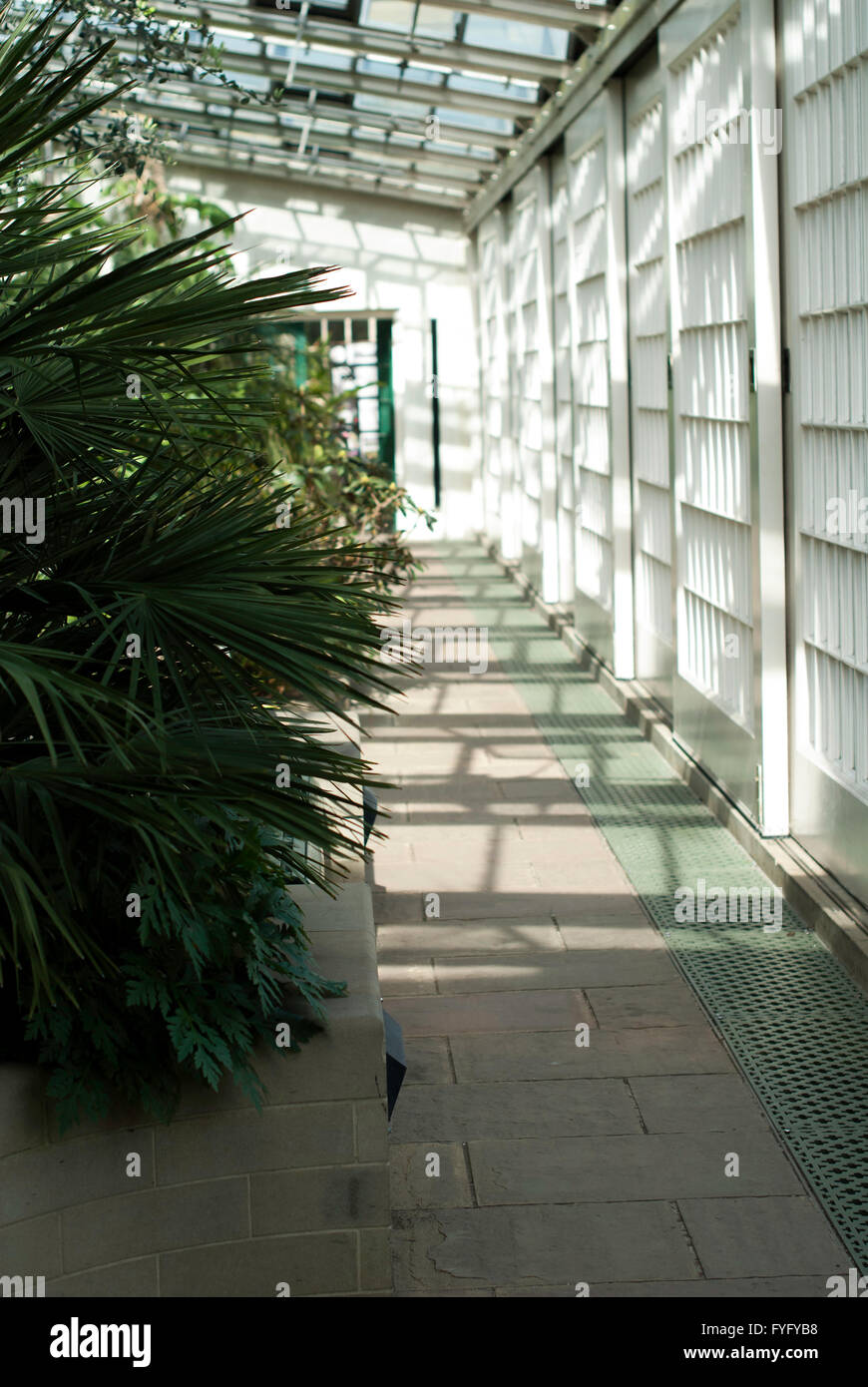 Editorial image of Paxton's Pavilion - Glasshouse in the grounds of the ...