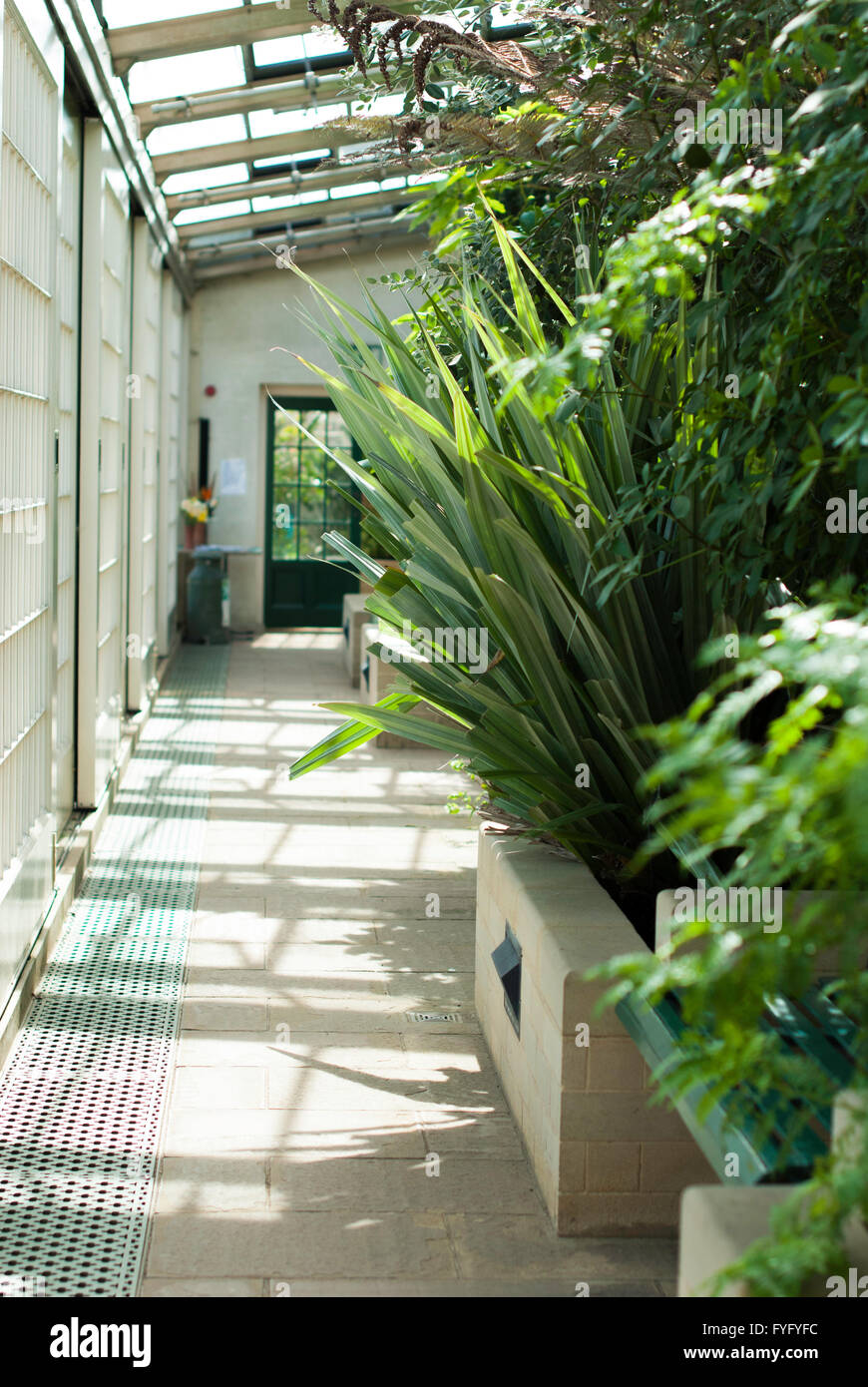 Editorial image of Paxton's Pavilion - Glasshouse in the grounds of the ...