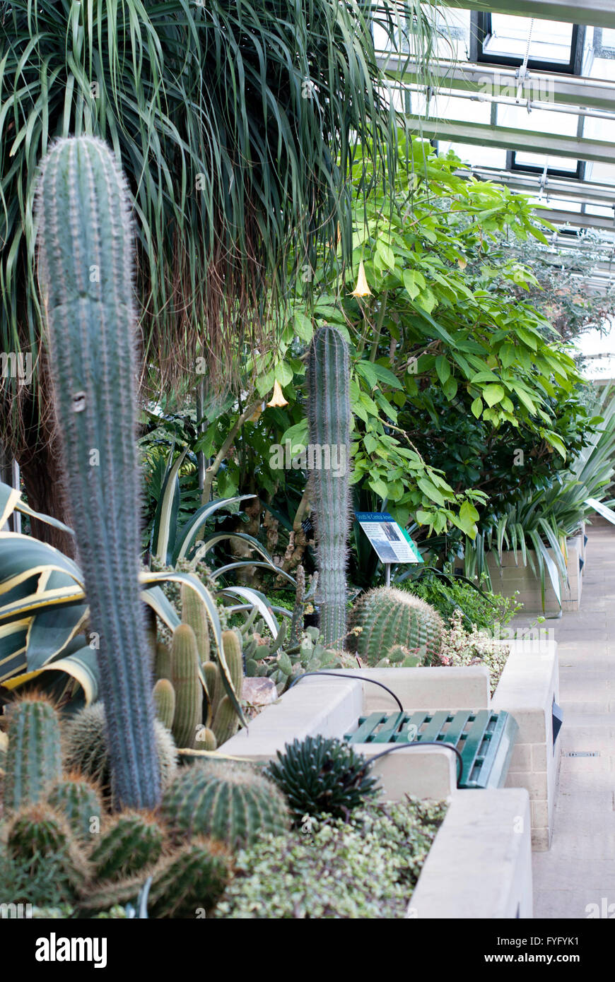 Editorial image of Paxton's Pavilion - Glasshouse in the grounds of the ...