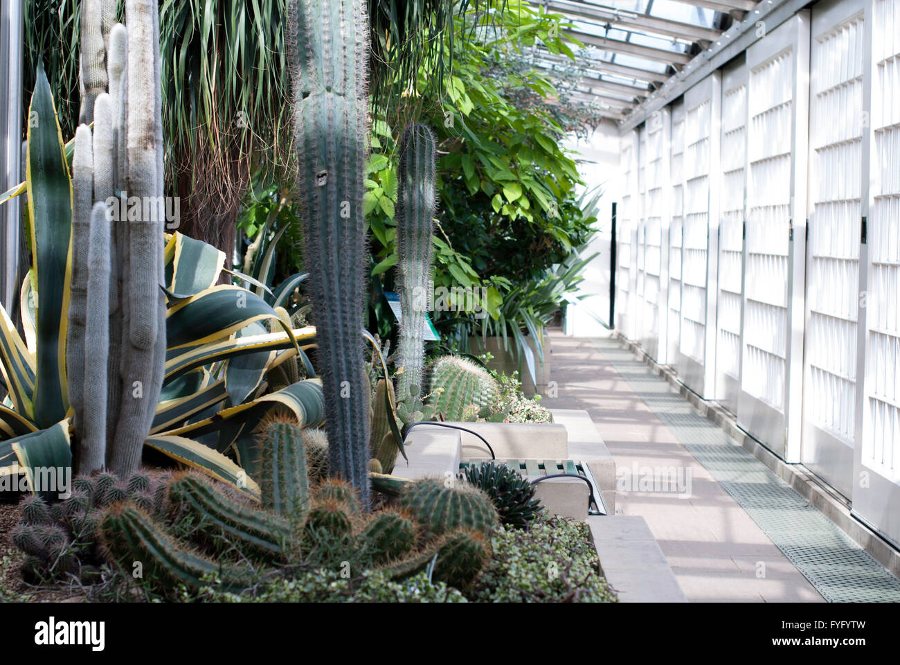 Sheffield botanical gardens hi-res stock photography and images - Alamy