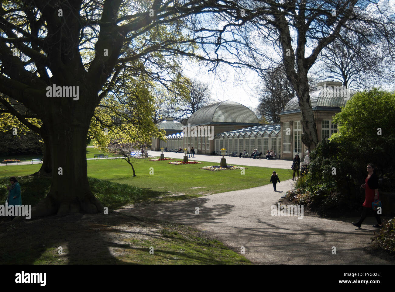 Editorial image of Paxton's Pavilion - Glasshouse in the grounds of the ...